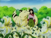 Kirara GIFs - Get the best gif on GIFER