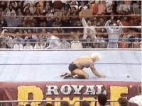 Rumble GIFs - Get the best gif on GIFER
