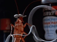 Cockroach GIFs - Get the best gif on GIFER