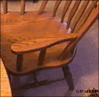 Purpose GIFs - Get the best gif on GIFER