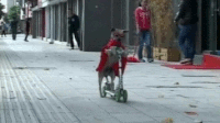 Scooters GIFs - Get the best gif on GIFER