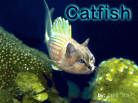 Catfish GIFs - Get the best gif on GIFER