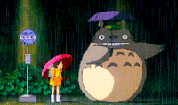 Totoro GIFs - Get the best gif on GIFER