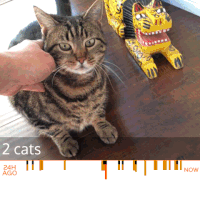 Rewind GIFs - Get the best gif on GIFER