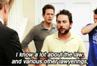 Lawyer GIFs - Get the best gif on GIFER