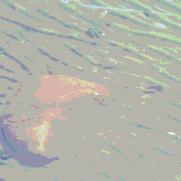 Huron GIFs - Get the best gif on GIFER