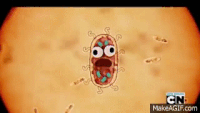 Bacteria GIFs - Get the best gif on GIFER