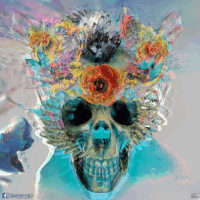 Nair GIFs - Get the best gif on GIFER