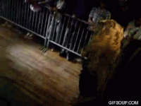 Destruccion GIFs - Get the best gif on GIFER