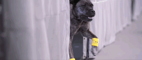 Chex mix GIF - Conseguir o melhor gif em GIFER