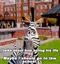 Madagascar GIFs - Get the best gif on GIFER
