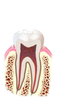 Canals GIFs - Get the best gif on GIFER