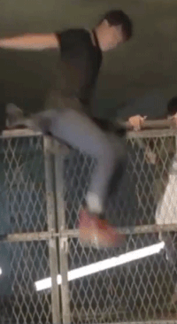 Ffs GIFs - Get the best gif on GIFER