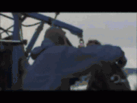 Peril GIFs - Get the best gif on GIFER