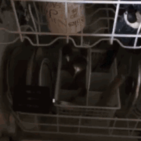 Dishwasher GIFs - Get the best gif on GIFER