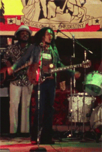 Reggae GIFs - Get the best gif on GIFER
