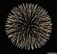 Golden GIFs - Get the best gif on GIFER
