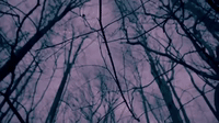 Woods GIFs - Get the best gif on GIFER