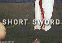 Dewa GIFs - Get the best gif on GIFER
