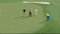 Analysis GIFs - Get the best gif on GIFER