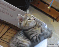 Cloche GIFs - Get the best gif on GIFER