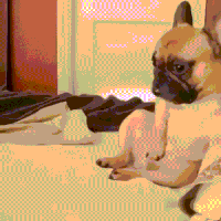 Webcams GIFs - Get the best gif on GIFER