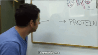 Whiteboard GIFs - Get the best gif on GIFER