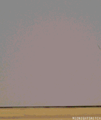 Hbp GIFs - Get the best gif on GIFER