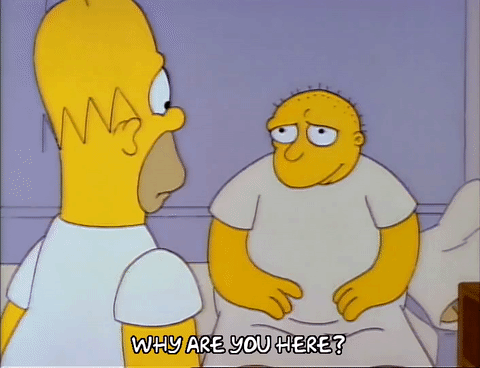 You are here GIF - Conseguir o melhor gif em GIFER