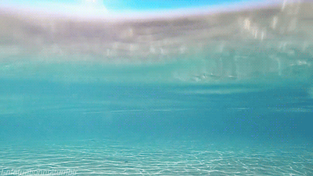 Hawaii GIFs - Get the best gif on GIFER