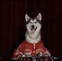 Percussion GIFs - Get the best gif on GIFER