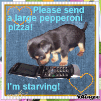 Starved GIFs - Get the best gif on GIFER