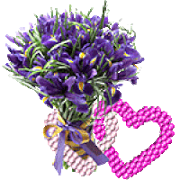 Iris GIFs - Get the best gif on GIFER