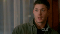 Yikes GIFs - Get the best gif on GIFER