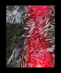 Calcium GIFs - Get the best gif on GIFER