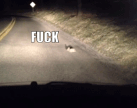 Headlight GIFs - Get the best gif on GIFER