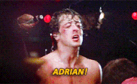 Rocky GIFs - Get the best gif on GIFER