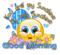 Sunshine GIFs - Get the best gif on GIFER