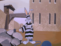 Jail GIFs - Get the best gif on GIFER