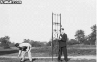 Fence GIFs - Get the best gif on GIFER