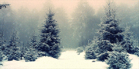 Snowfall GIFs - Get the best gif on GIFER