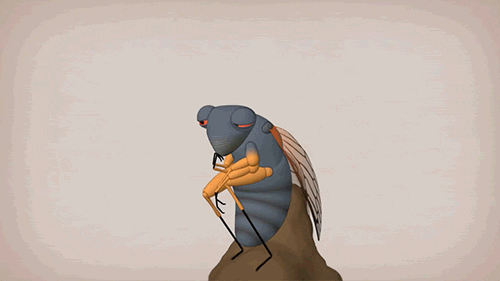 Cicadas GIF - Conseguir o melhor gif em GIFER