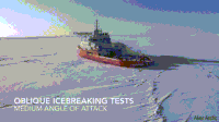 Icebreakers GIFs - Get the best gif on GIFER
