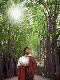 God GIFs - Get the best gif on GIFER