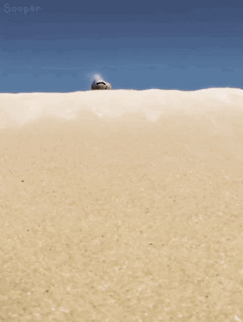 Visage amusant GIFs - Obtenez le meilleur gif sur GIFER
