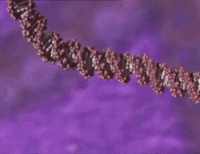 Histone GIFs - Get the best gif on GIFER