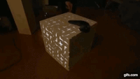 Tracker GIFs - Get the best gif on GIFER