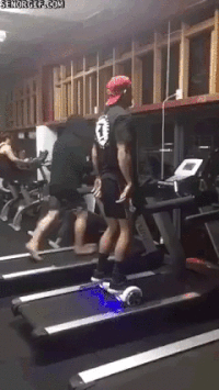 Dump GIFs - Get the best gif on GIFER