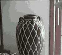 Vase GIFs - Get the best gif on GIFER