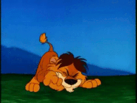 Try GIFs - Get the best gif on GIFER